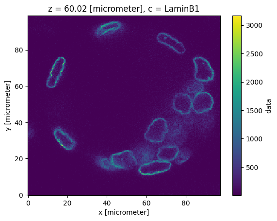 Introduction to cloud-optimized bioimaging with OME-Zarr - BIA Seminar ...