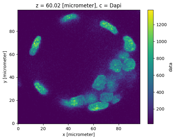 Introduction to cloud-optimized bioimaging with OME-Zarr - BIA Seminar ...